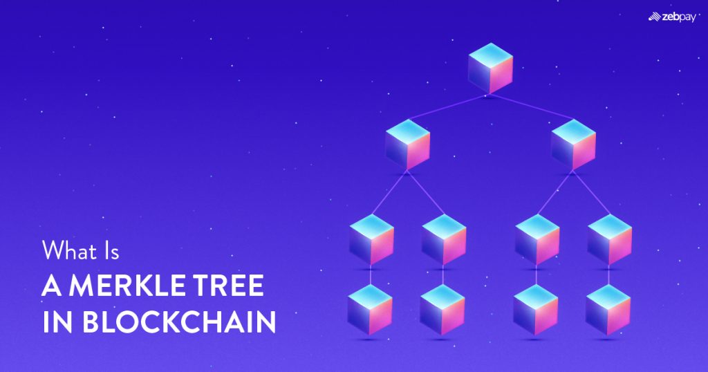 What Is A Merkle Tree: Explained | ZebPay India